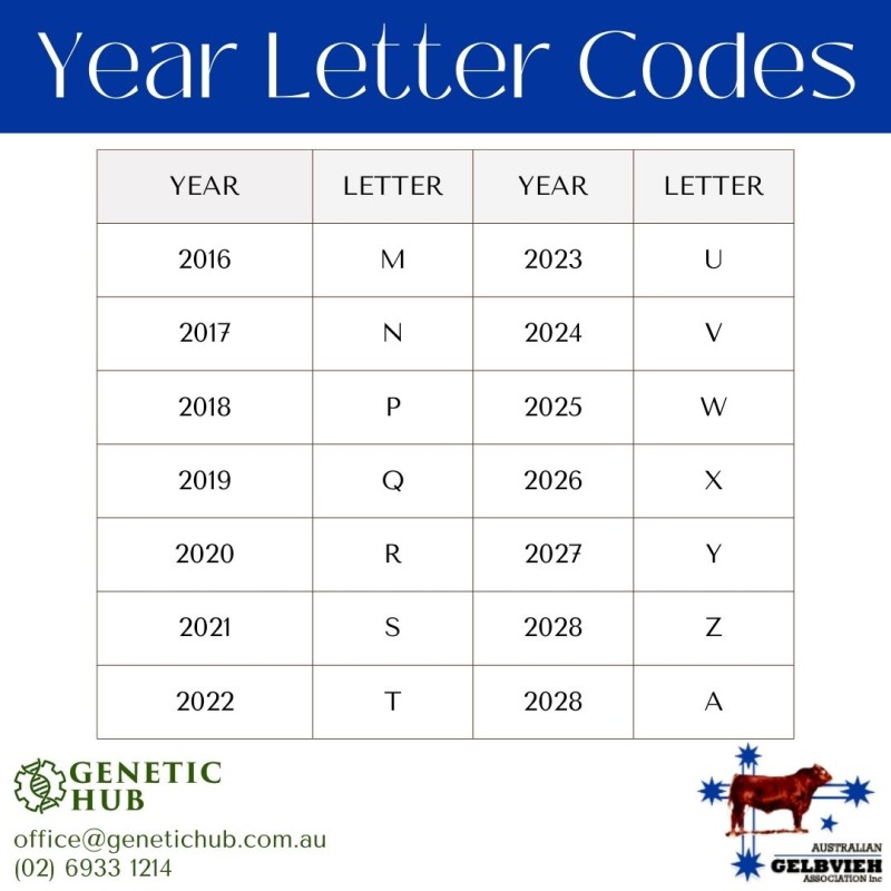 Year Letter Codes - Australian Gelbvieh Association Year Letter Codes - Australian Gelbvieh Association