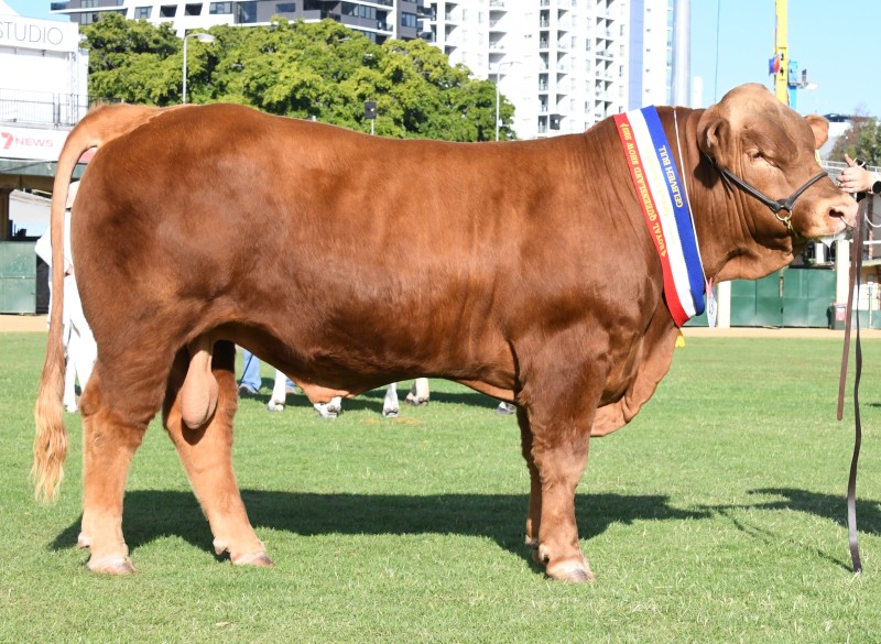 EKKA 2023 Results